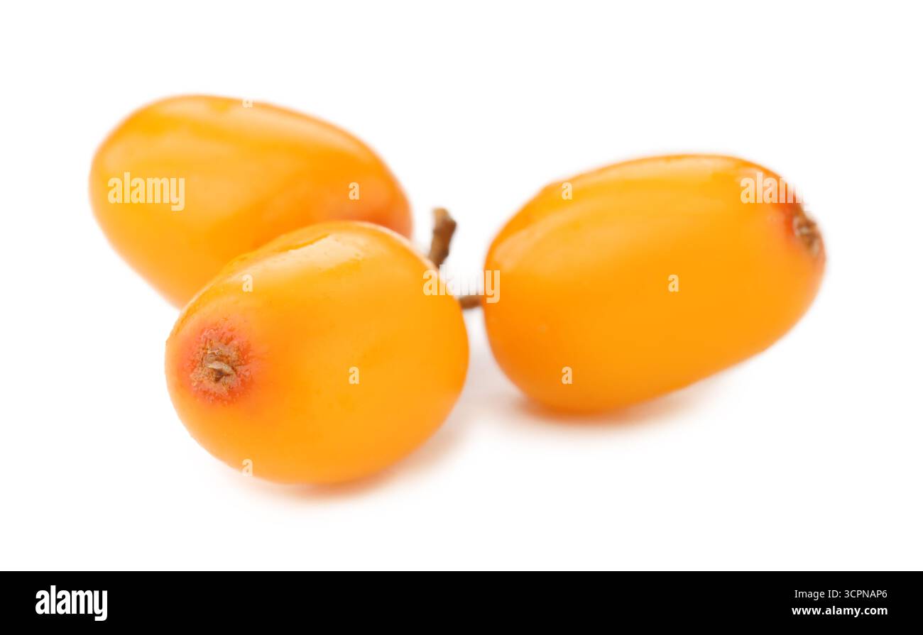 Sea buckthorn fruits on Cut Out Stock Images & Pictures - Alamy
