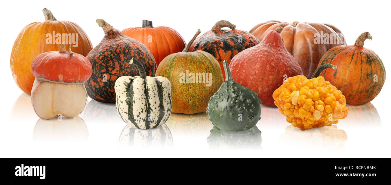 Variety different fall pumpkins Cut Out Stock Images & Pictures - Alamy