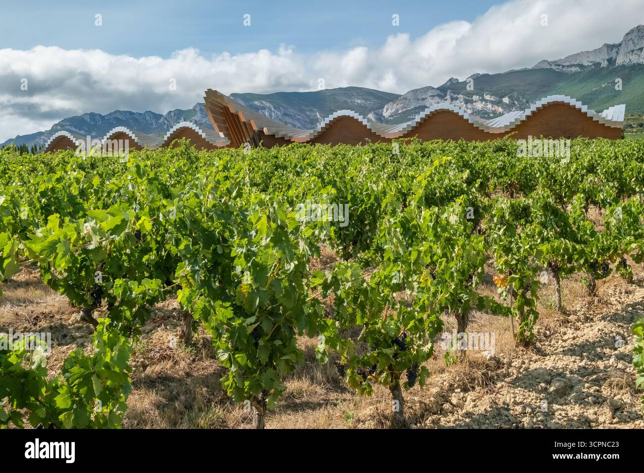 Famous Bodegas Ysios near Laguardia, Basque country, Spain. Ysios ...