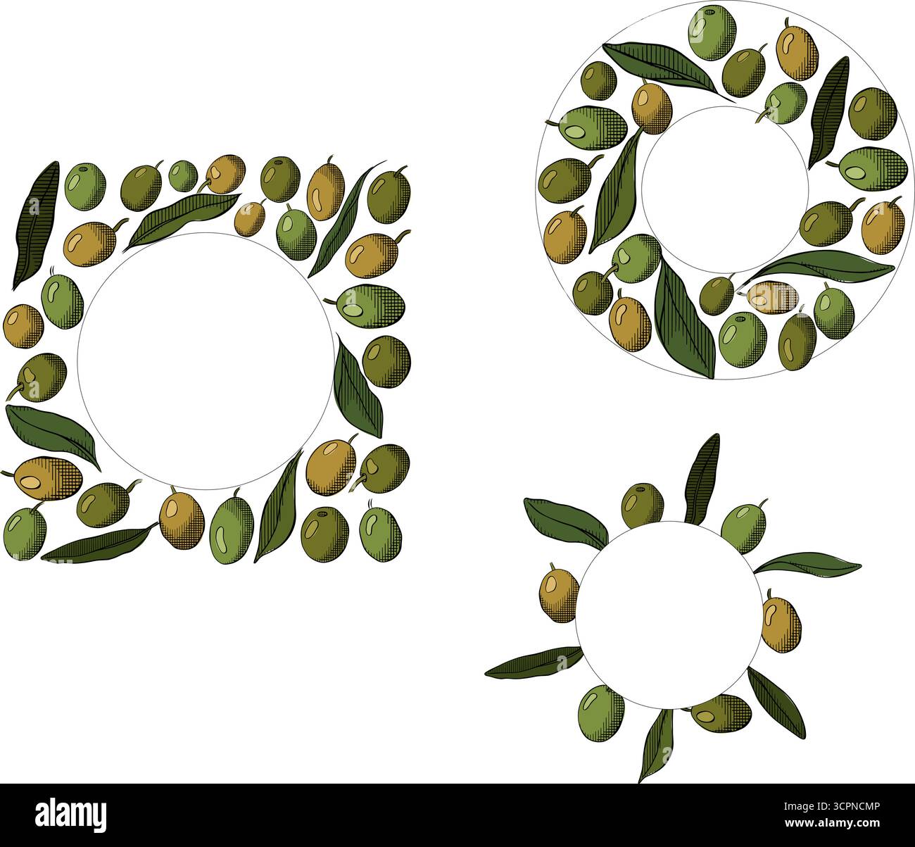 Olive green menu card Stock Vector Images - Alamy