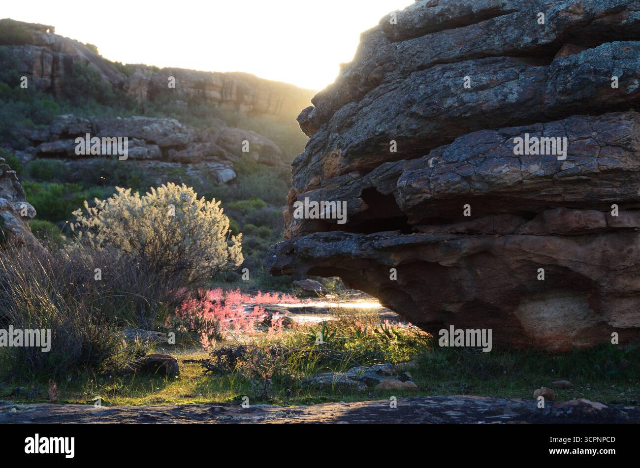 Bright sunlight illuminates ancient hi-res stock photography and images ...