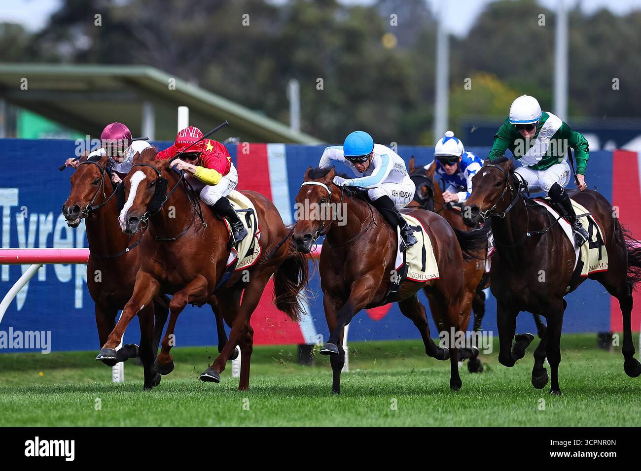 27th September 2025; Rosehill Gardens Racecourse, Sydney, New South ...