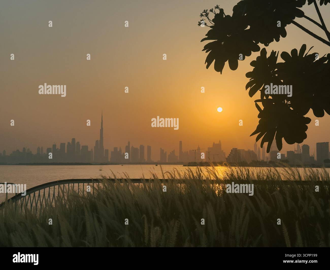 Dubai skyline at sunset with tree silhouette and grass foreground, view ...