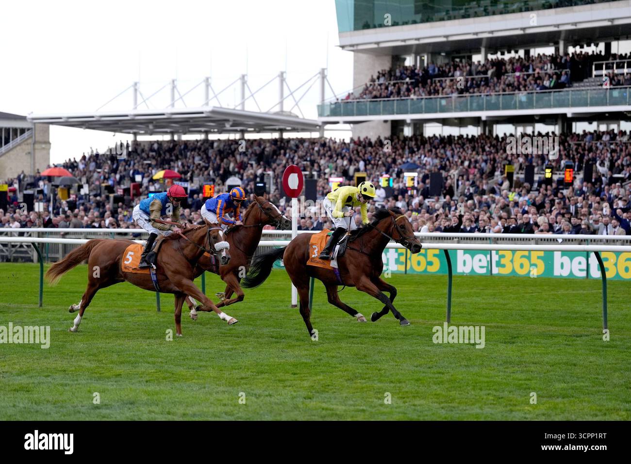 Jockey Billy Loughnane (right) on Bow Echo wins the Tattersalls Online ...