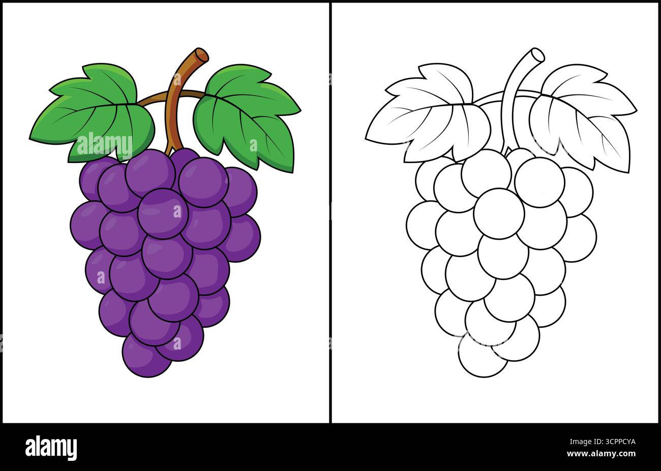 Grapes Coloring Page with Colored Example Illustration Stock Vector ...
