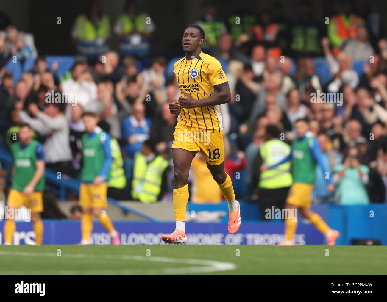Brighton and Hove Albion's Danny Welbeck after scoring their side's ...