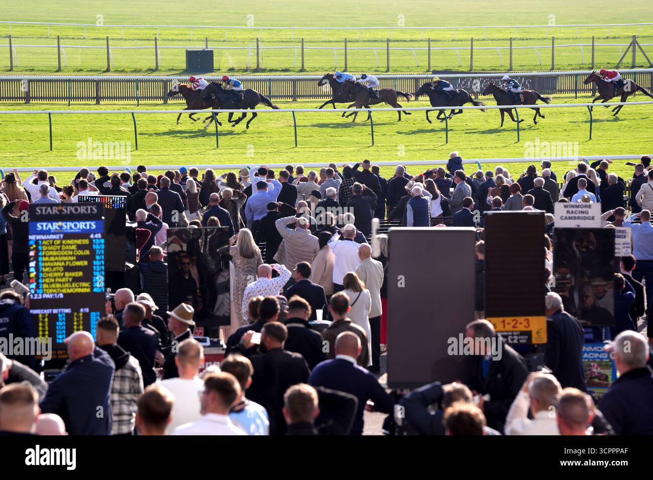 Jockey Jack Nicholls on Quiescent (second left) on their way to winning ...