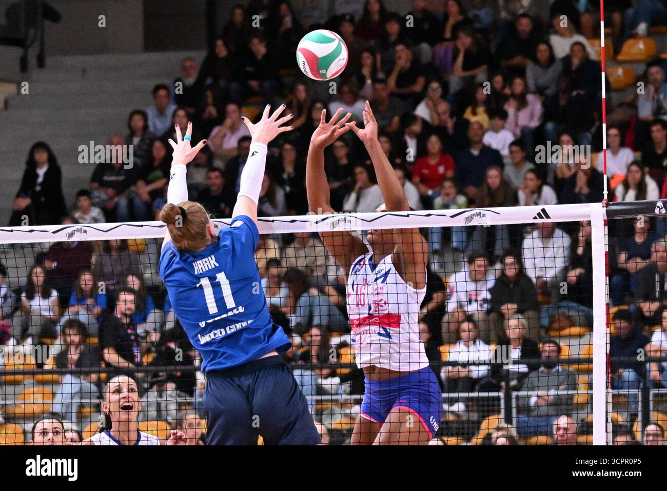 Isabelle Haak ( Imoco Conegliano Stock Photo - Alamy