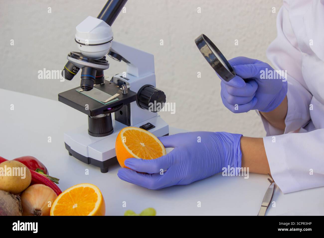 Laboratory Fruit Quality Check. Analyzing an Orange with a Magnifier ...