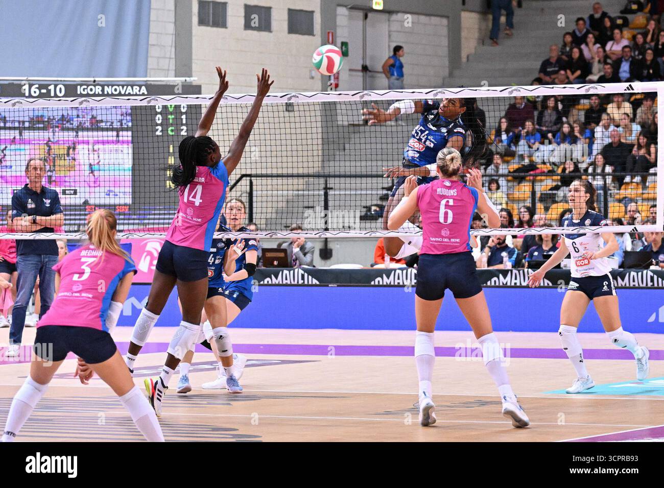 Igiede Amber ( Igor Novara Stock Photo - Alamy