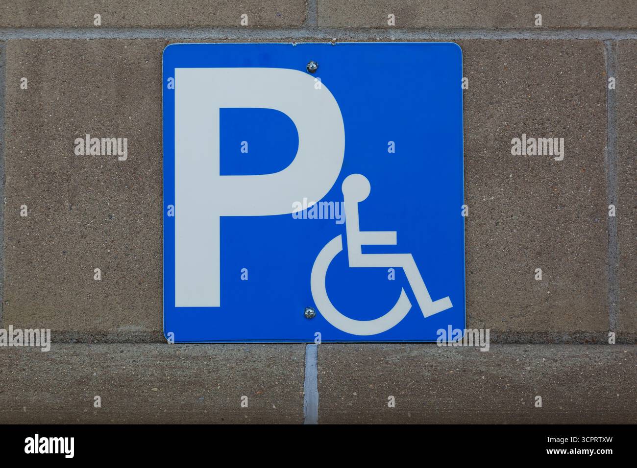 Bold white letter P and outline of person in wheelchair on blue ...