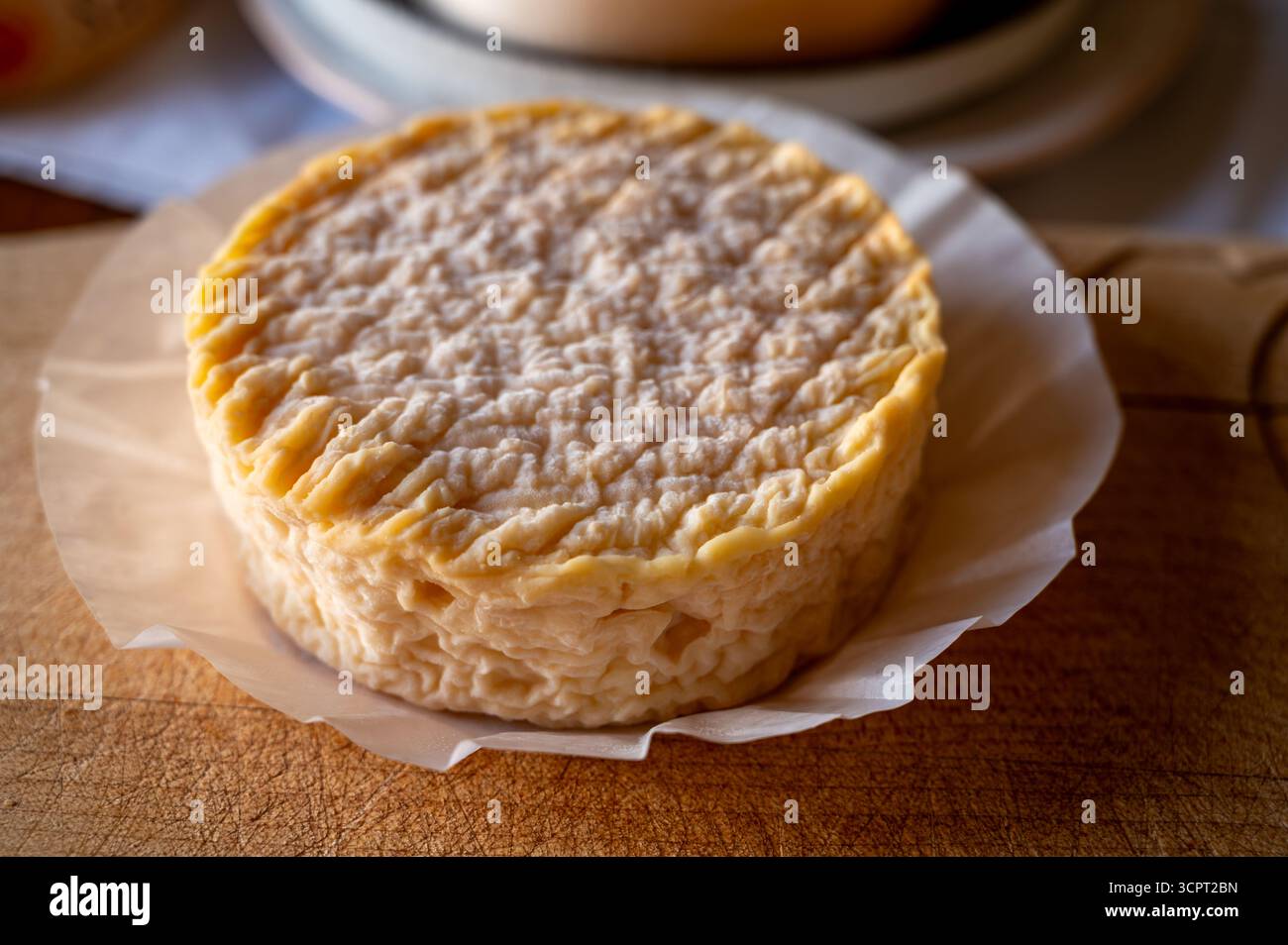 French soft Camembert cheese, original Camembert de Normandie made from ...