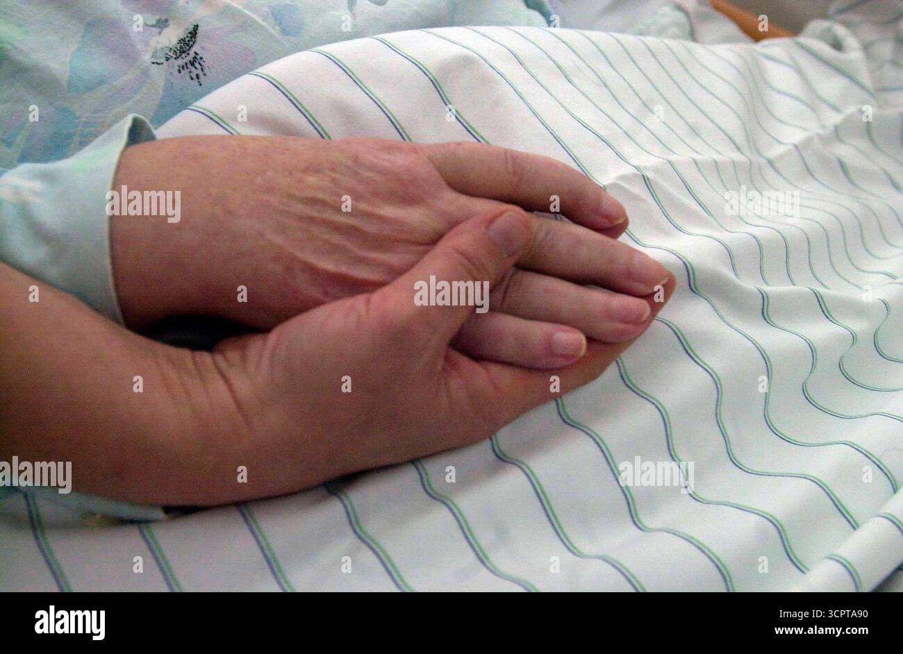 palliative care for people with chronic conditions, person holding a ...