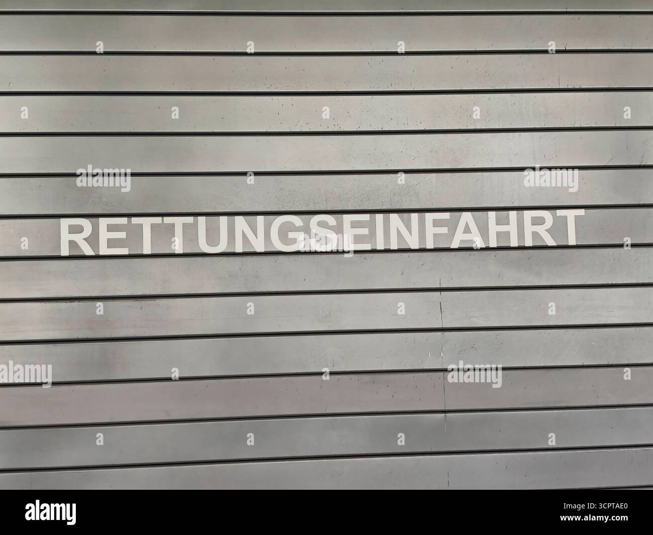 rescue service for the rapid assistance of injured persons rescue ...