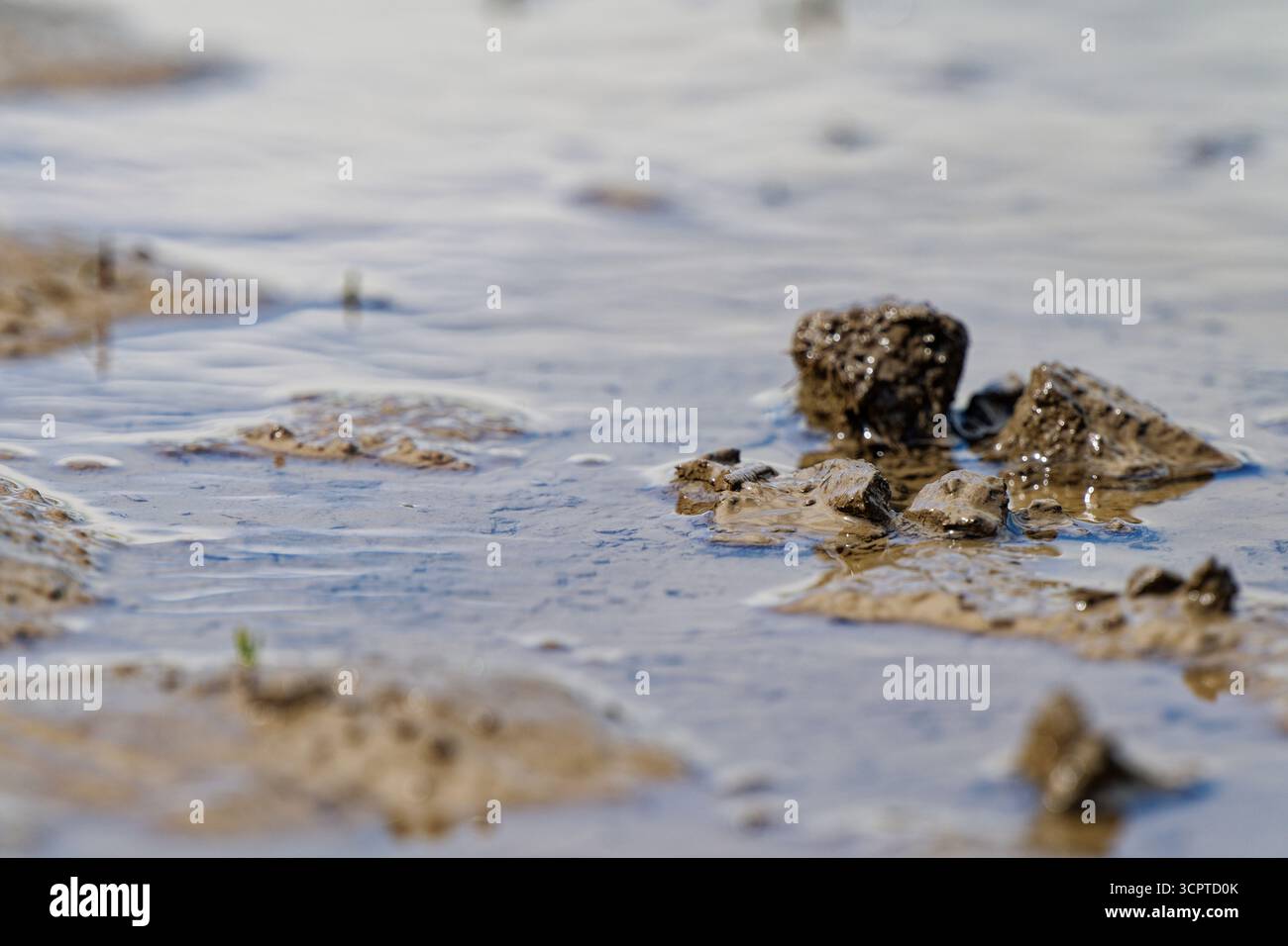 A rough country road of soft clay breaks into wet clumps, a smooth ...