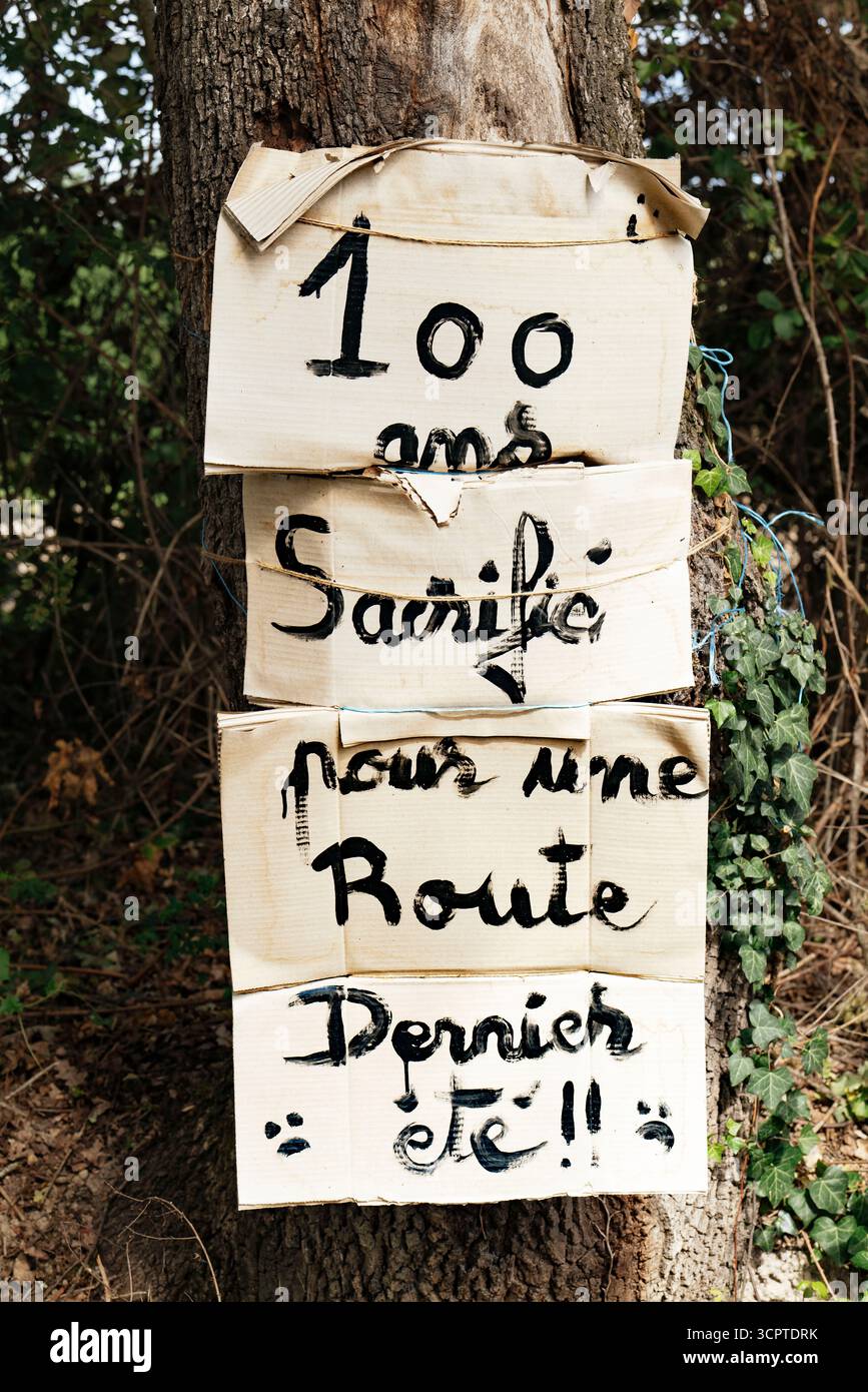 Placards with writing on a tree, 100 years sacrificed for a road, last ...