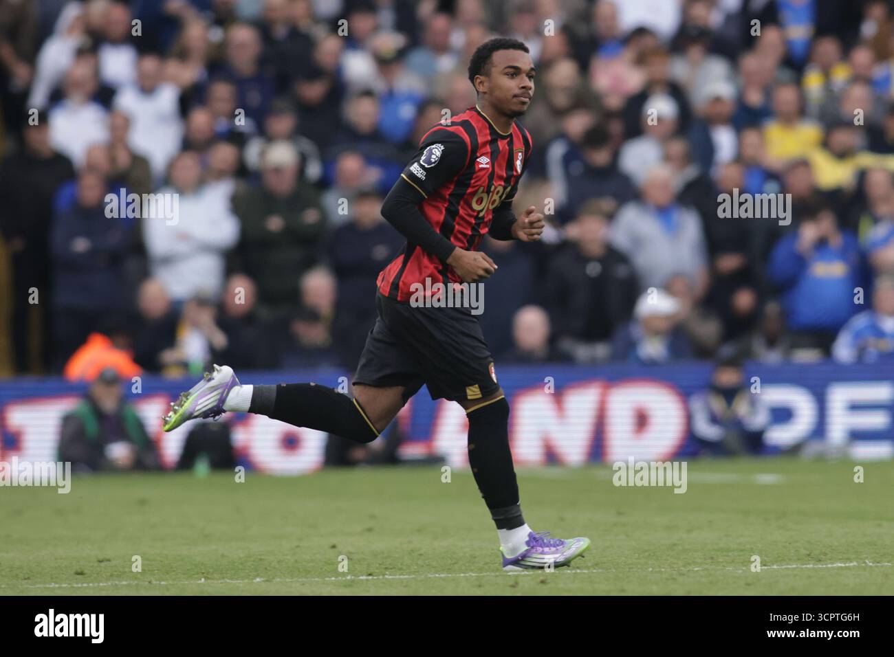 Kroupi bournemouth hi-res stock photography and images - Alamy