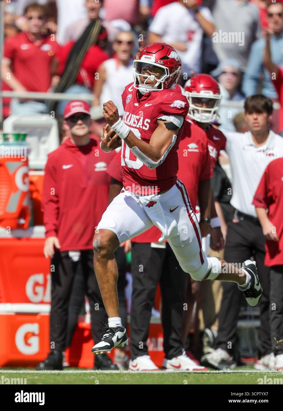 September 27, 2025: Taylen Green (10) Arkansas QB carries the ball ...