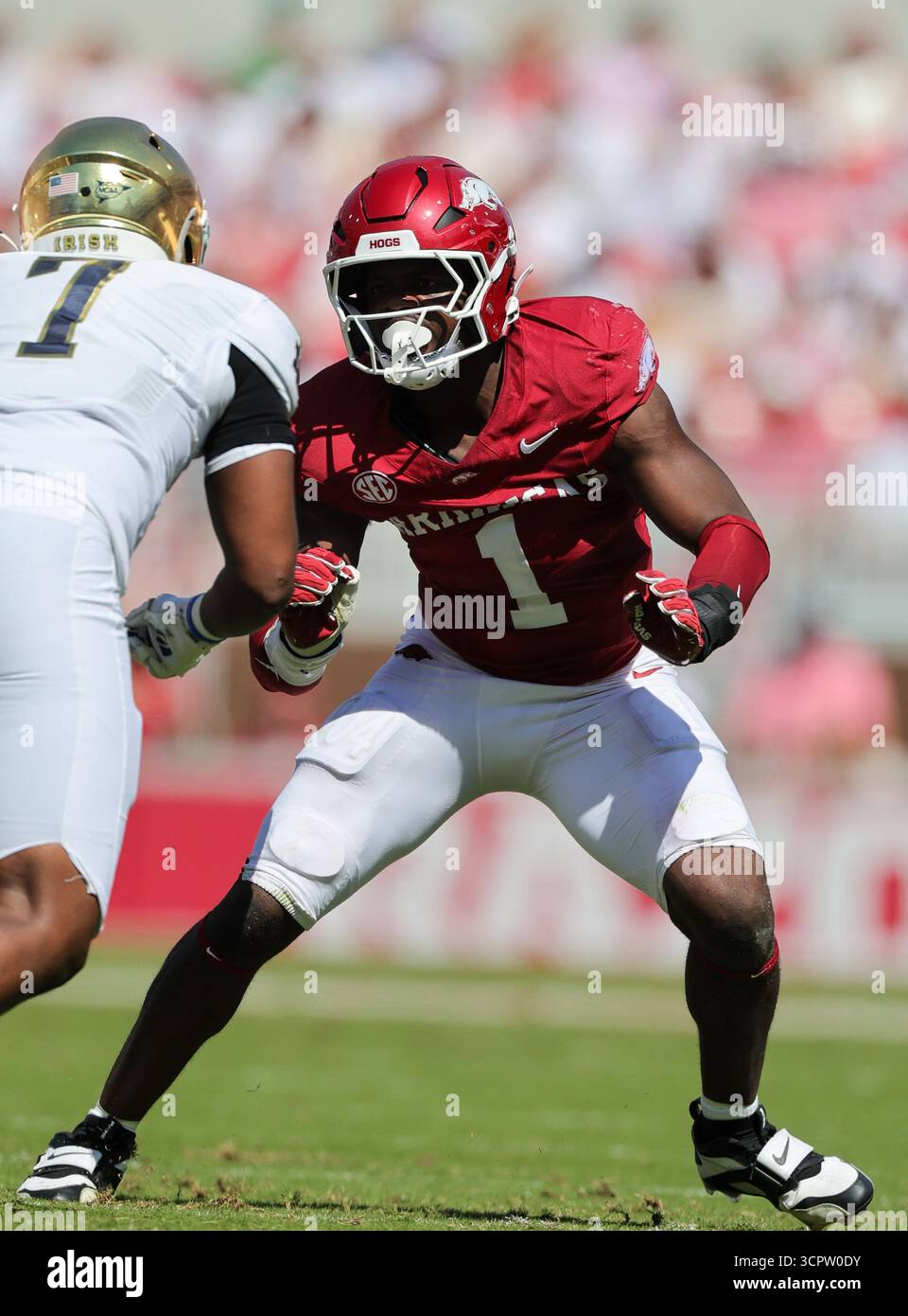 September 27, 2025: Arkansas defensive lineman Phillip Lee (1) comes ...