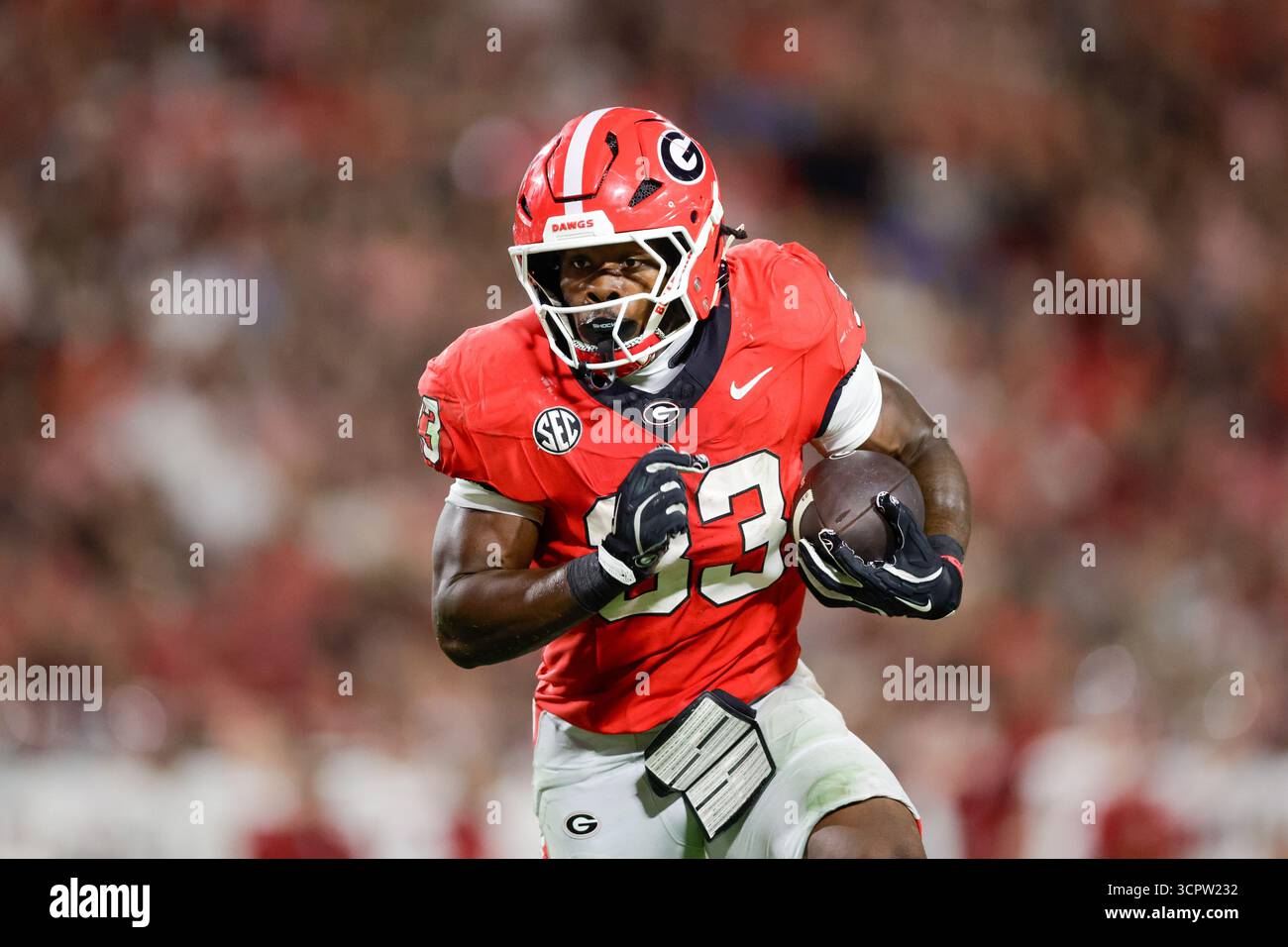 Georgia running back Chauncey Bowens (33) runs for a touchdown during ...