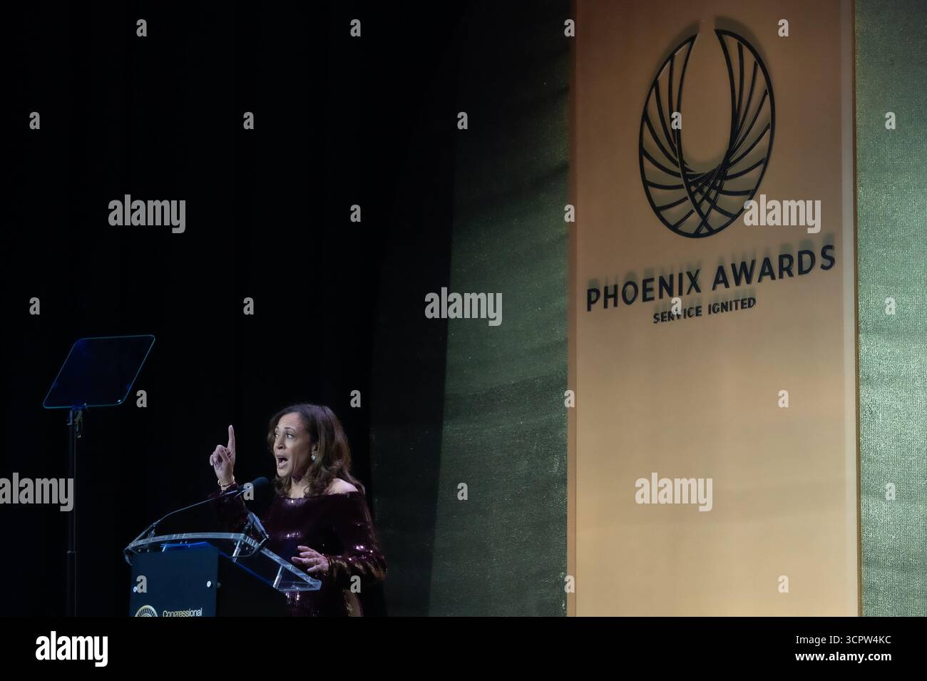 Former Vice President Kamala Harris speaks after receiving the ...