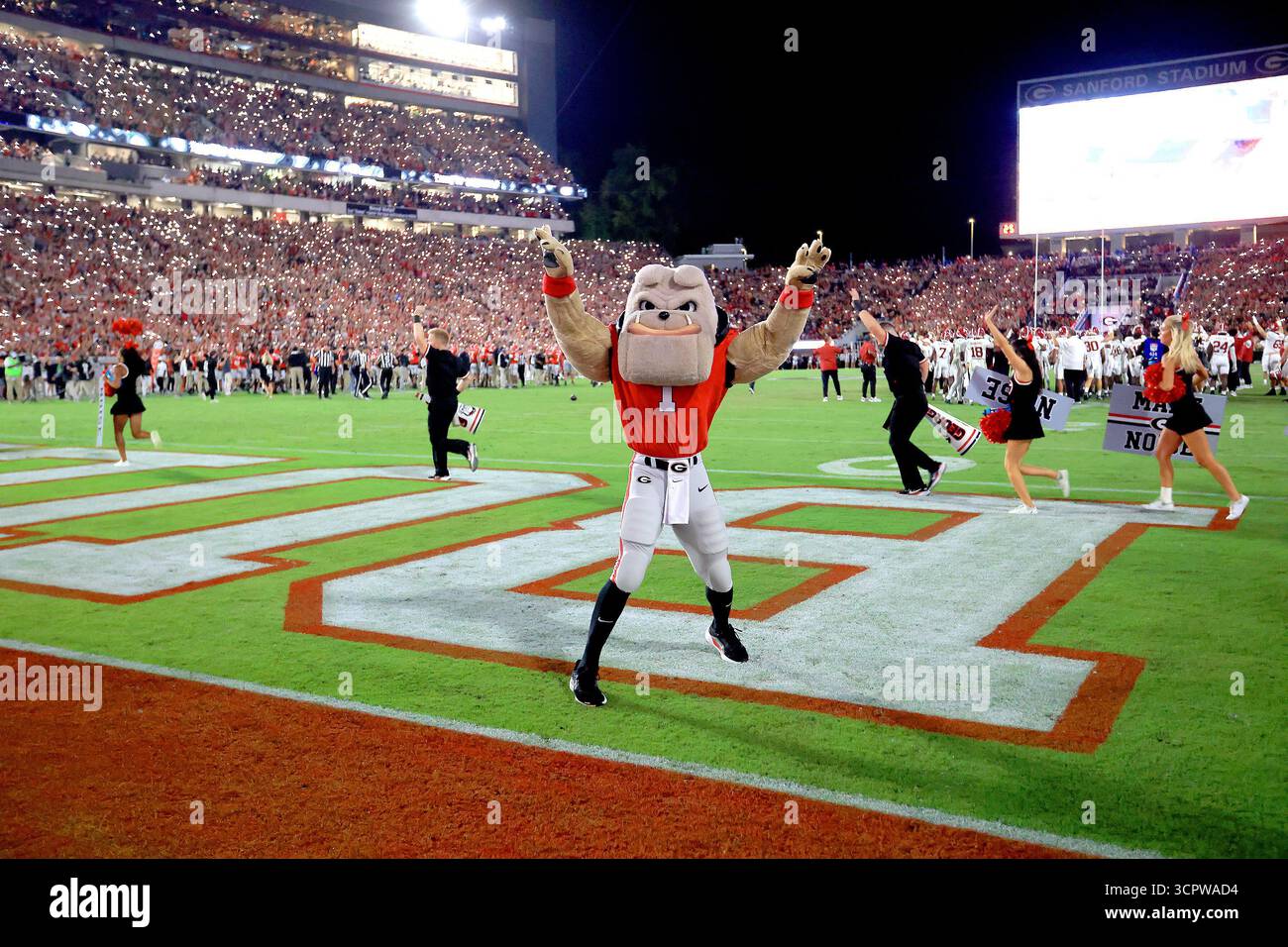 ATHENS, GA - SEPTEMBER 27: UGA mascot Hairy Dawg pumps up the crowd ...