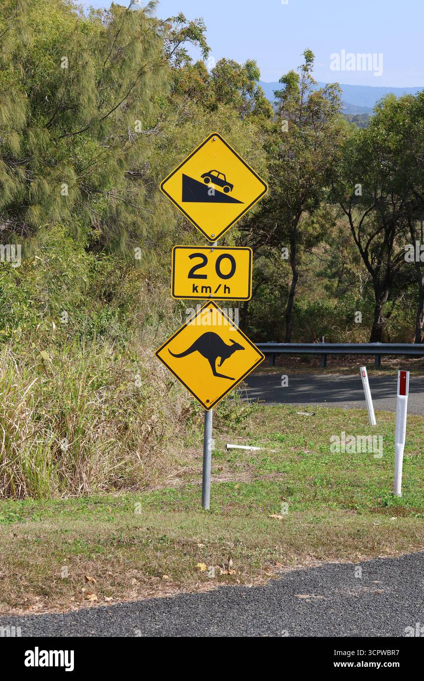 Steep Descent, Speed Limit and Kangaroo Crossing road signs attached to ...