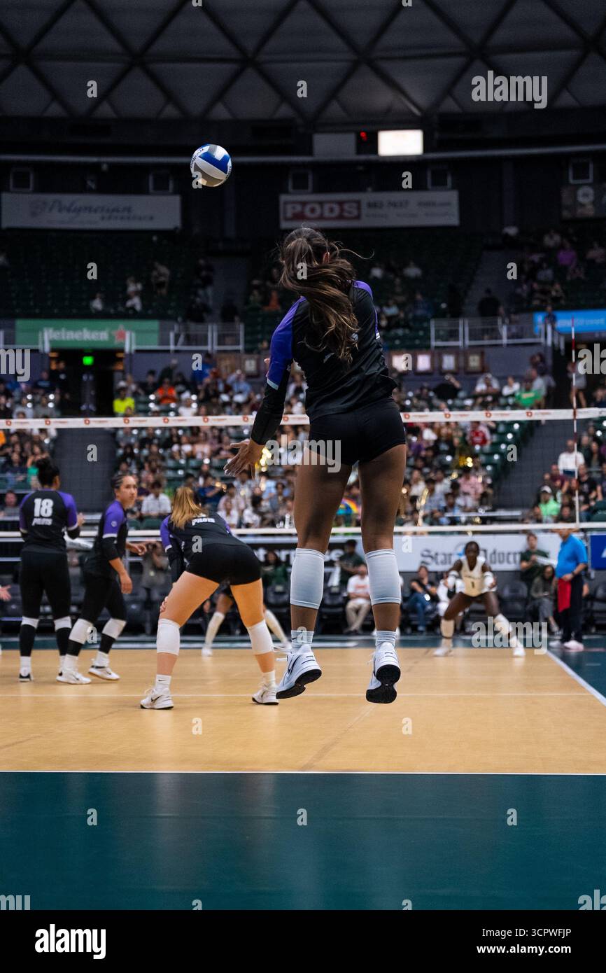 Portland pilots volleyball game hi-res stock photography and images - Alamy