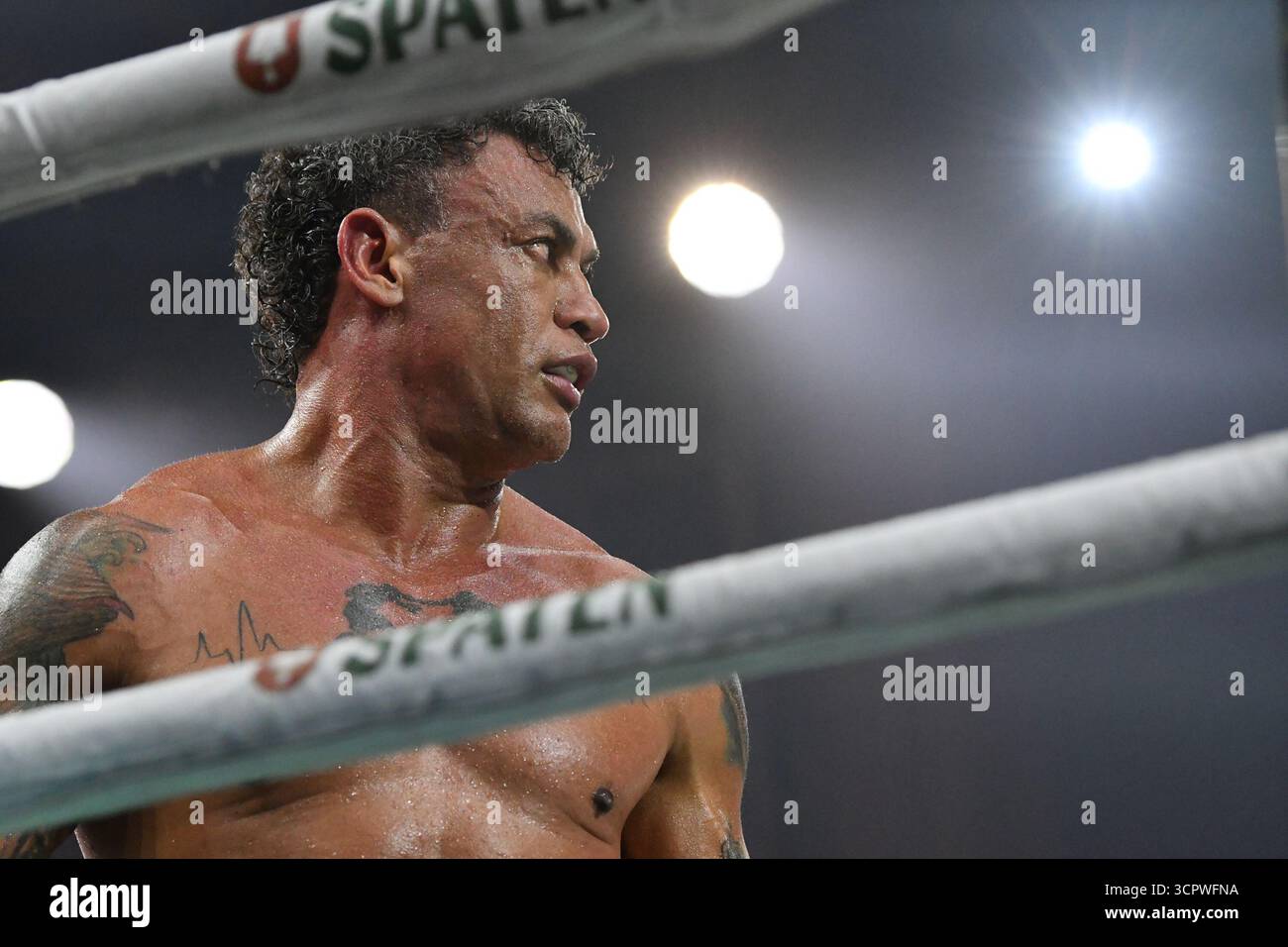Popo wanderlei silva hi-res stock photography and images - Alamy