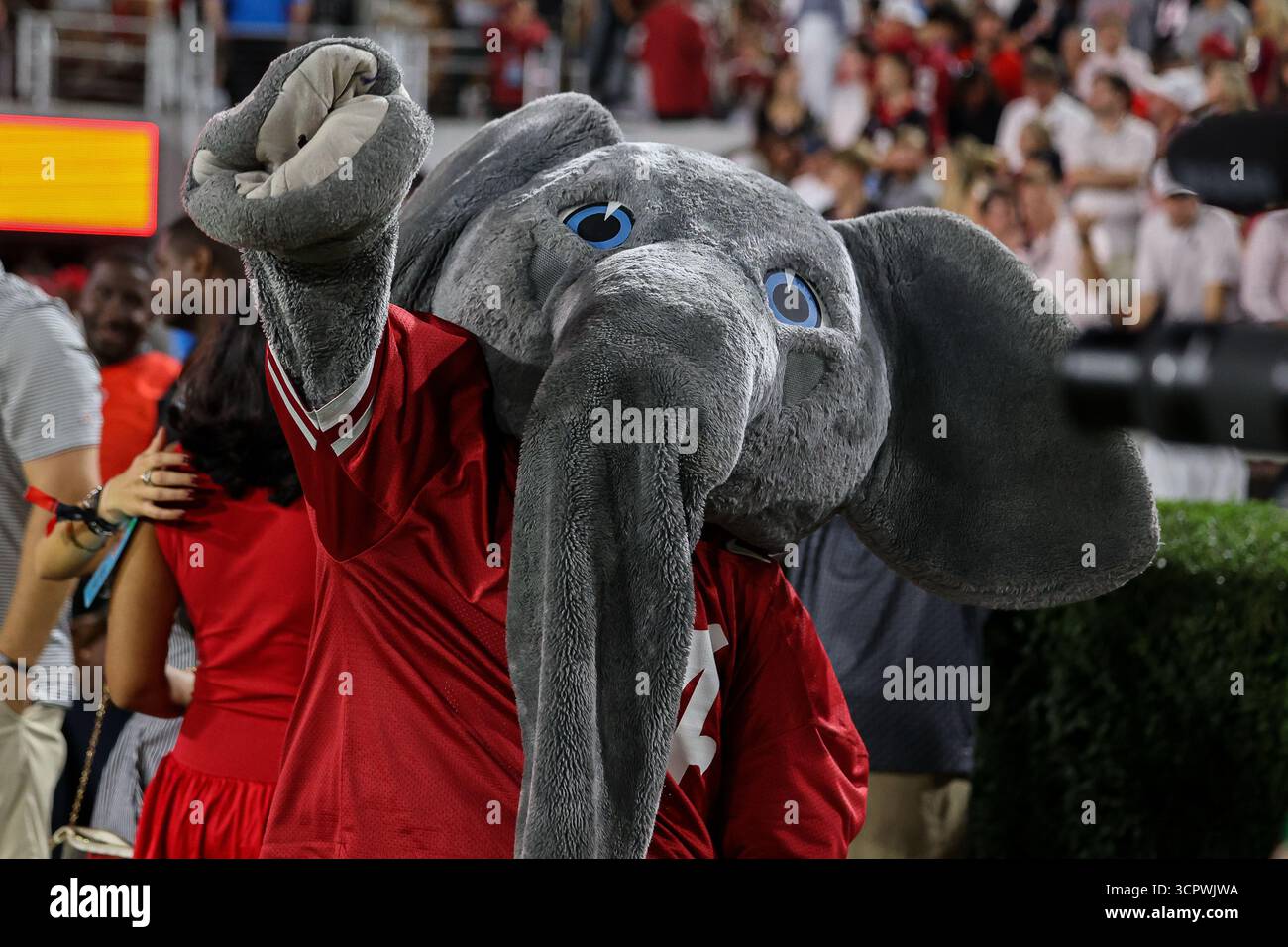 Alabama mascot Big Al reacts during the first half of an NCAA college ...