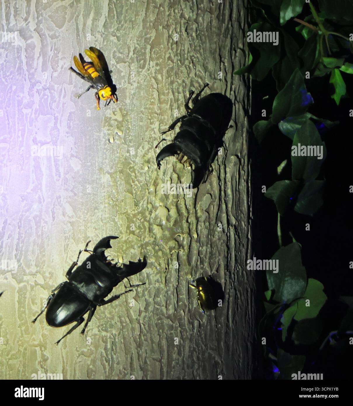 A photo shows the exhibits at the Sumitomo Pavilion of the Osaka-Kansai ...