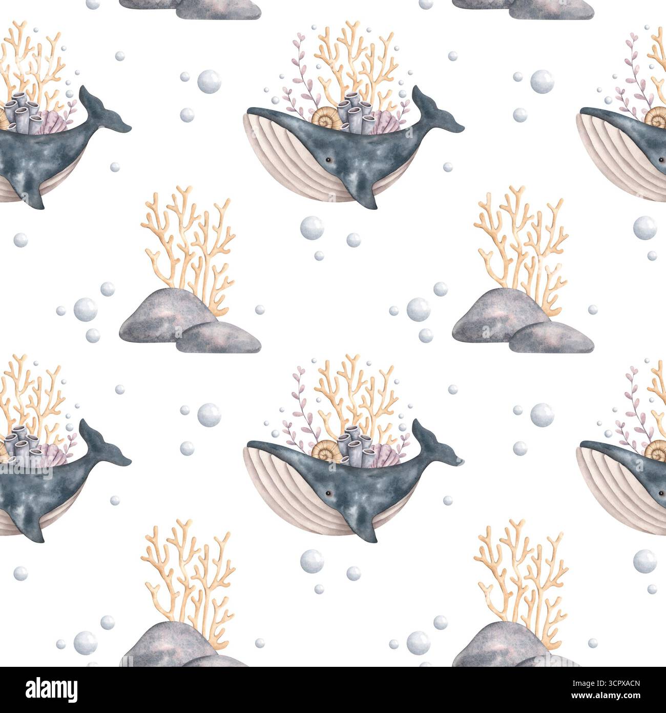 Seashell and bubbles Cut Out Stock Images & Pictures - Alamy