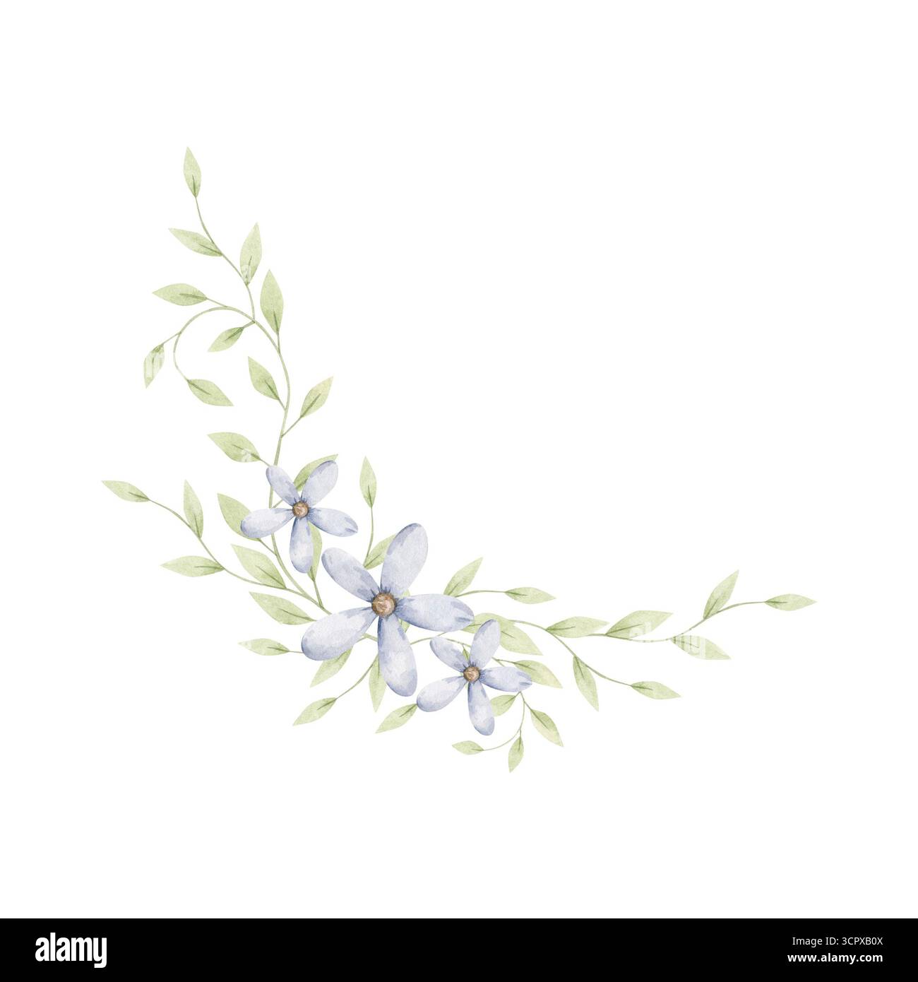 Boy reveal Cut Out Stock Images & Pictures - Alamy