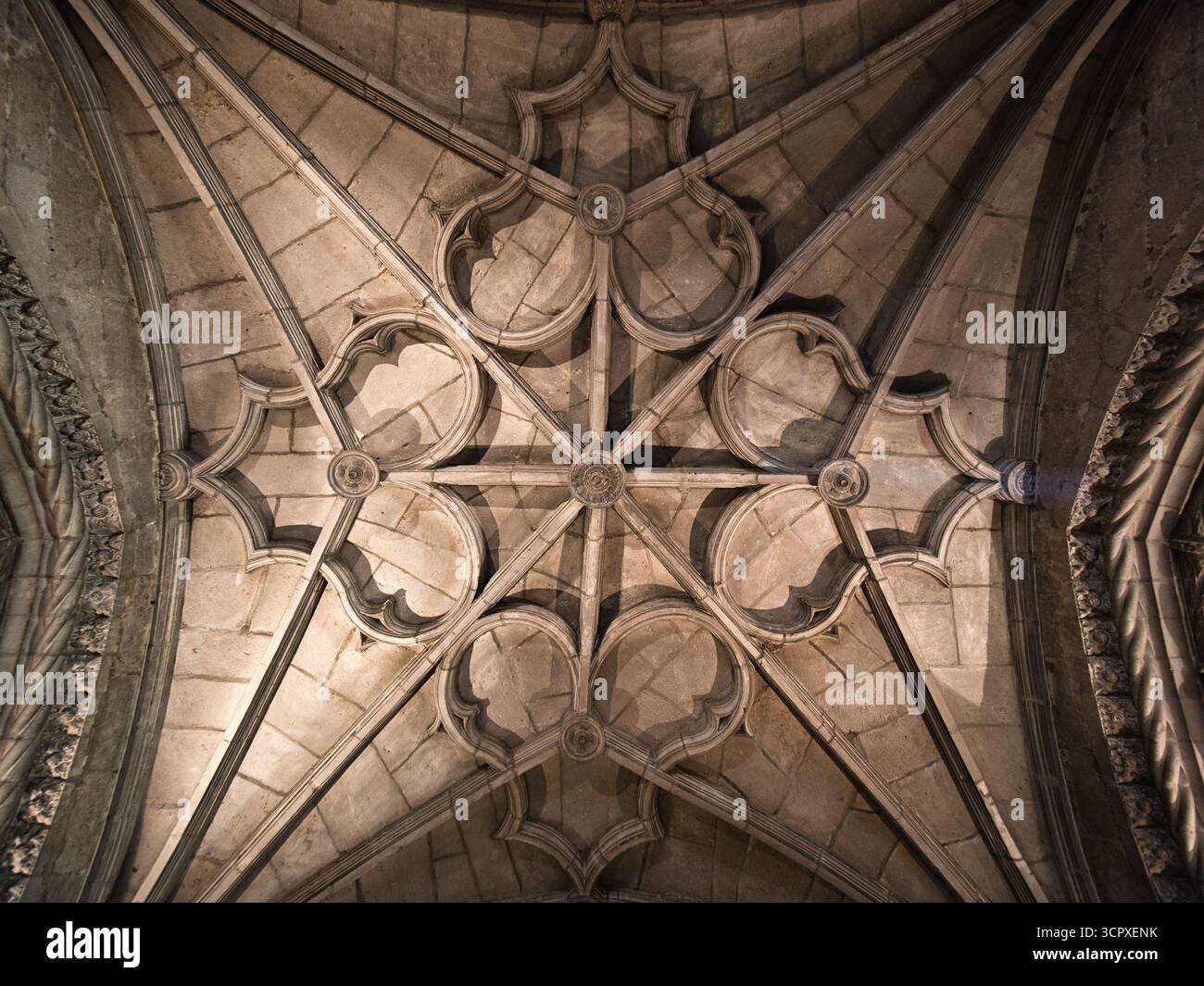 Gothic Stone Vaulted Ceiling Detail - Intricate close-up of a historic ...