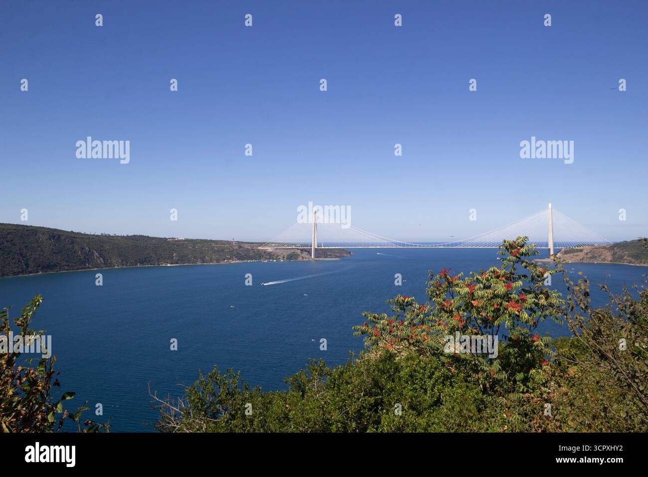 Yss bridge hi-res stock photography and images - Alamy
