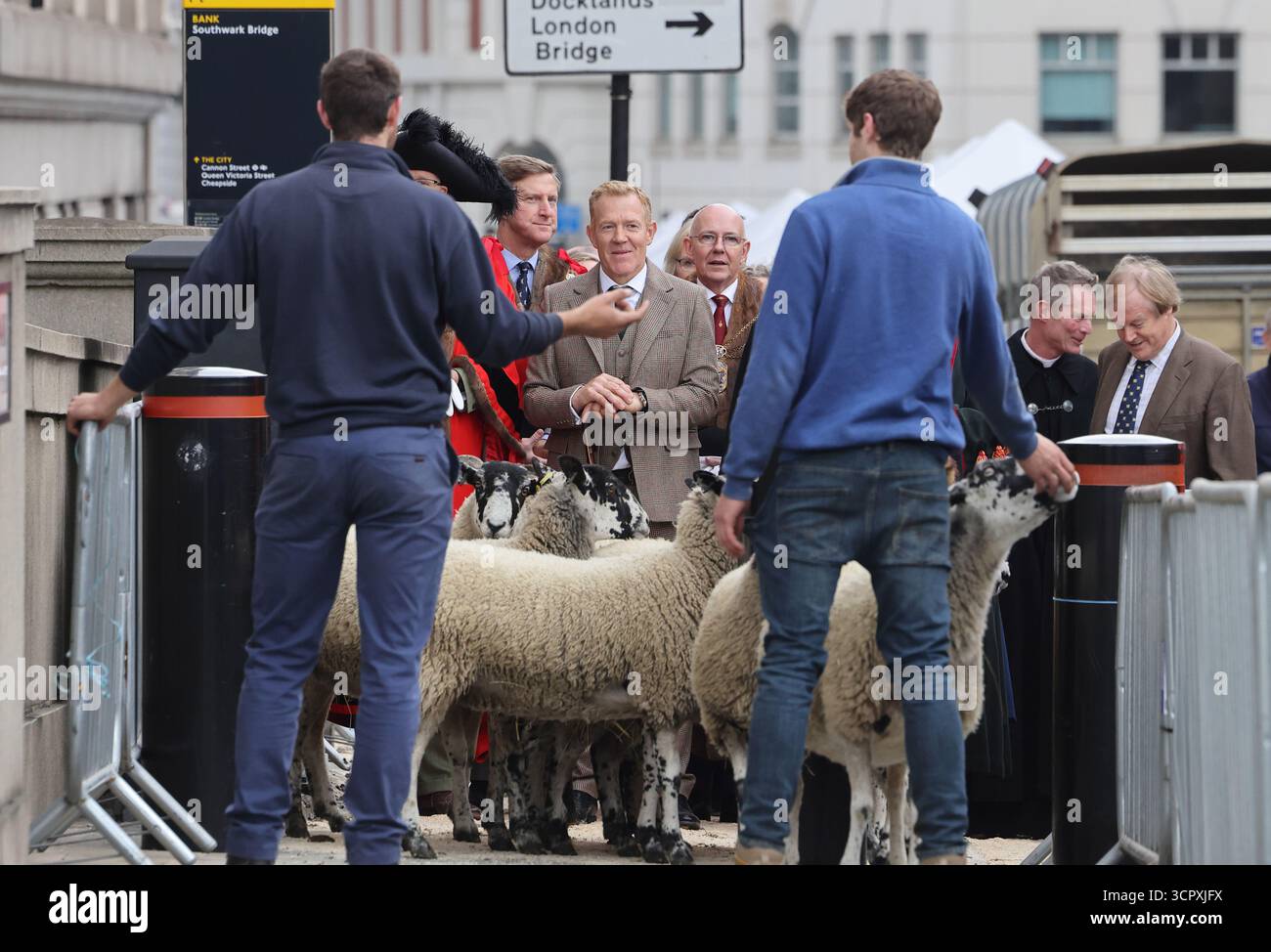 Sheep london bridge 2025 hi-res stock photography and images - Alamy