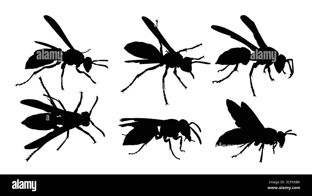 Set at large Black and White Stock Photos & Images - Alamy