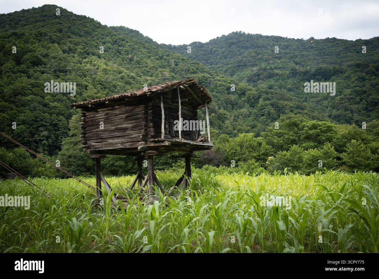 Old wooden hut on corn hi-res stock photography and images - Alamy