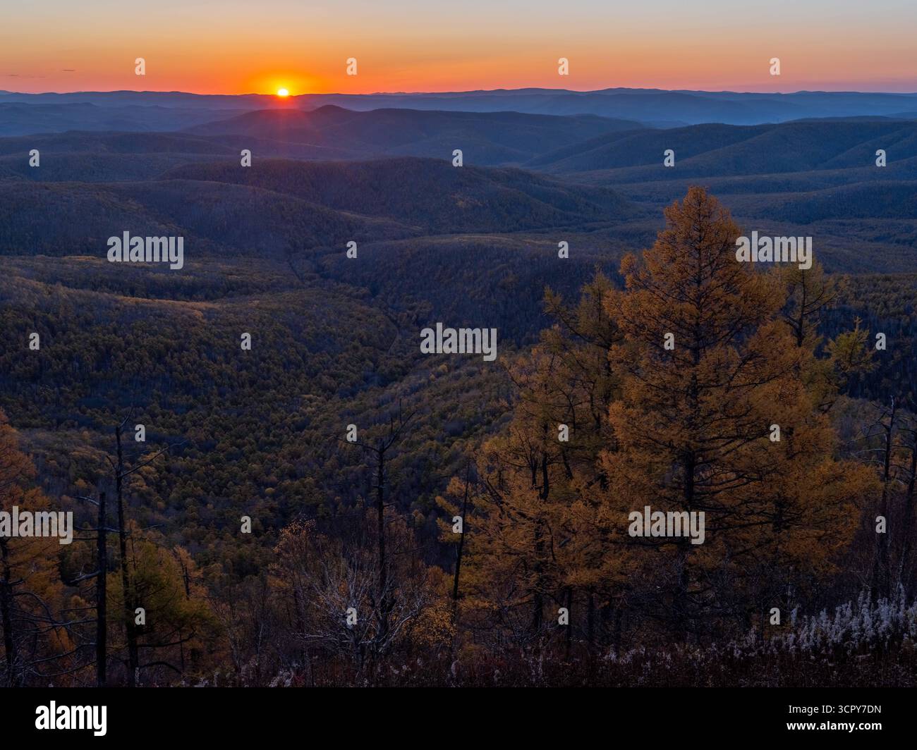 (250928) -- HULUN BUIR, Sept. 28, 2025 (Xinhua) -- This photo taken on ...