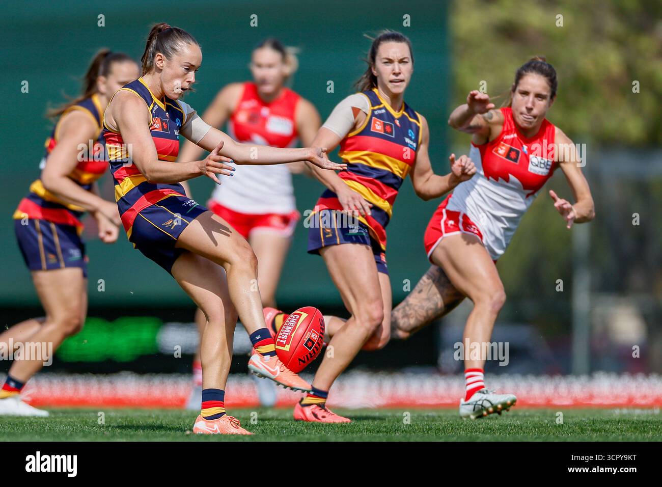 Adelaide crows 2025 hi-res stock photography and images - Alamy