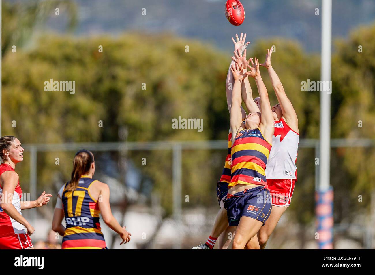 Adelaide crows 2025 hi-res stock photography and images - Alamy
