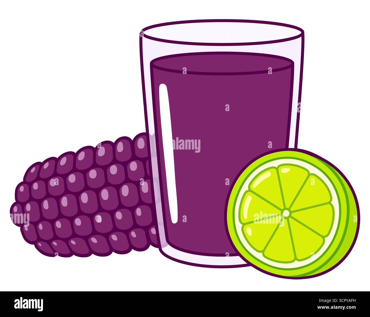 Peruvian corn or cuzco corn Stock Vector Images - Alamy