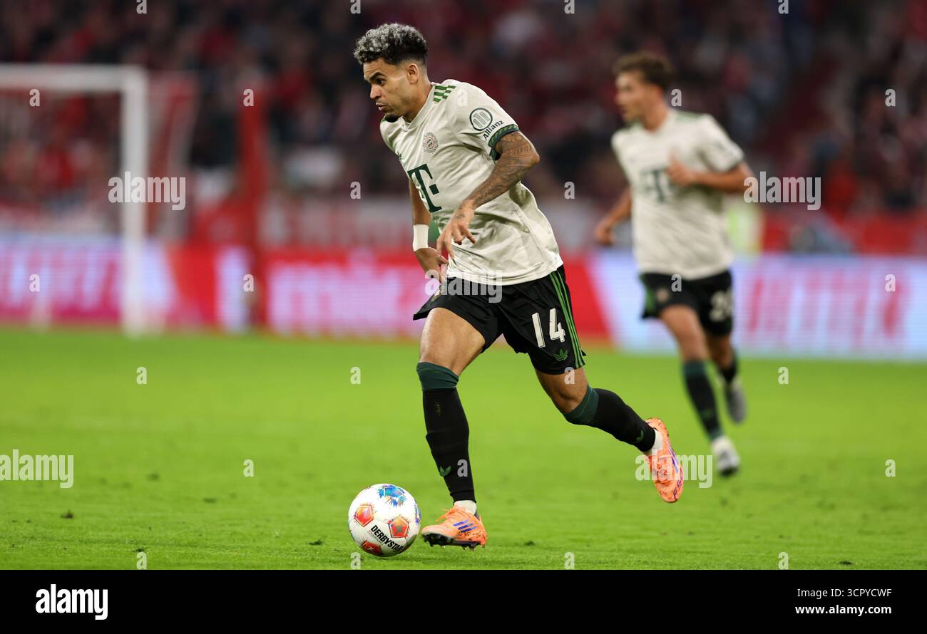 Luis diaz fc bayern munich in action hi-res stock photography and ...
