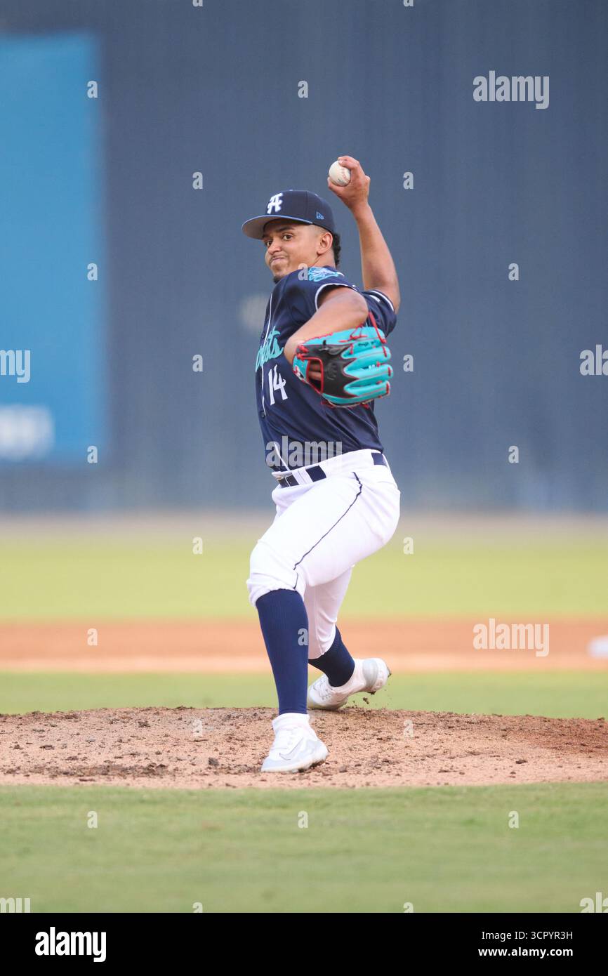 Asheville Tourists starting pitcher Anthony Cruz (14) delivers a pitch ...