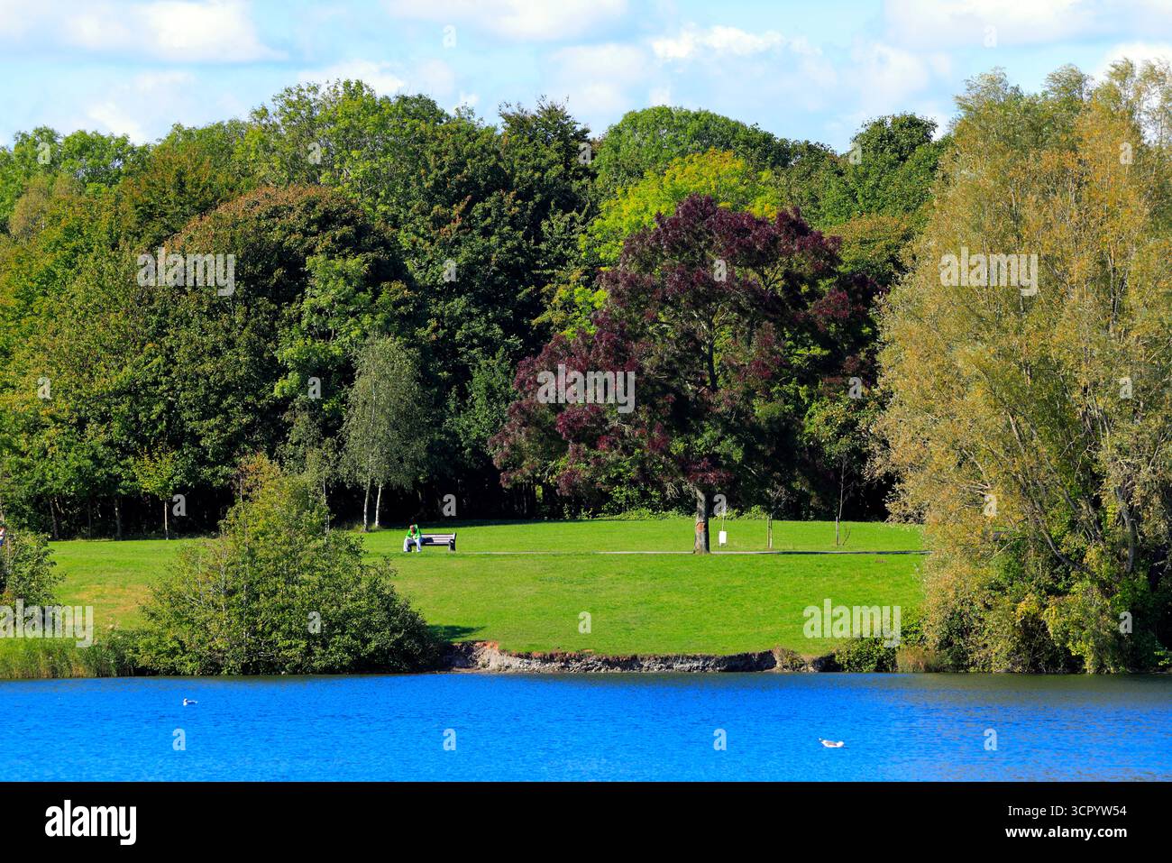 Cosmeston lakes and countrypark hi-res stock photography and images - Alamy