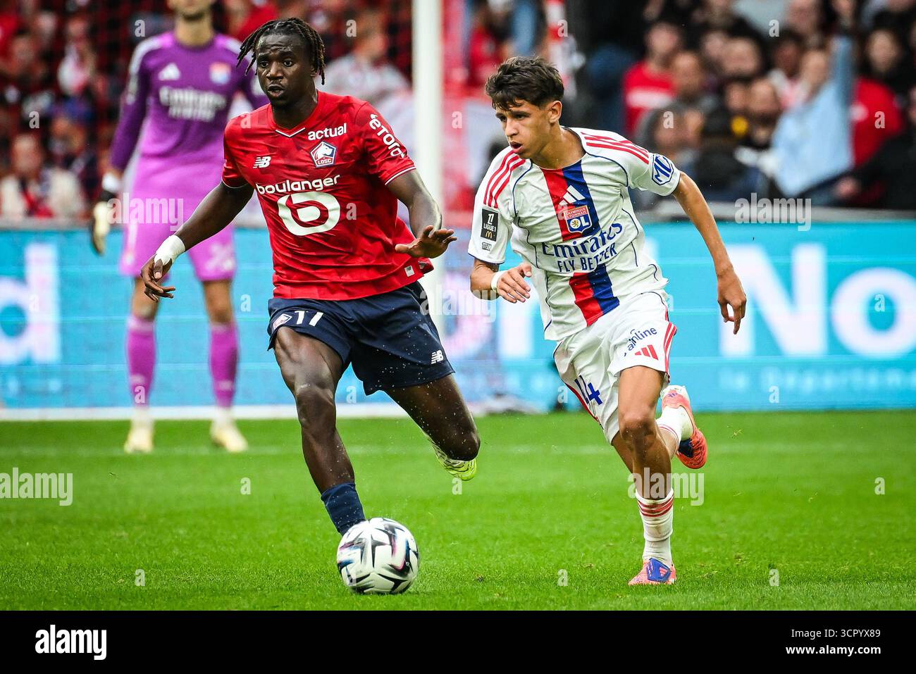Ngal'ayel MUKAU of Lille and Khalis MERAH of Lyon during the French ...