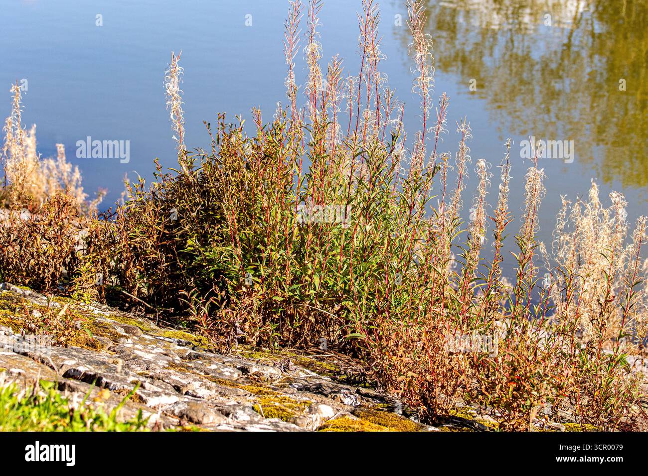 Dundee, Tayside, Scotland, UK. 28th Sep, 2025. UK Weather: At Dundee ...
