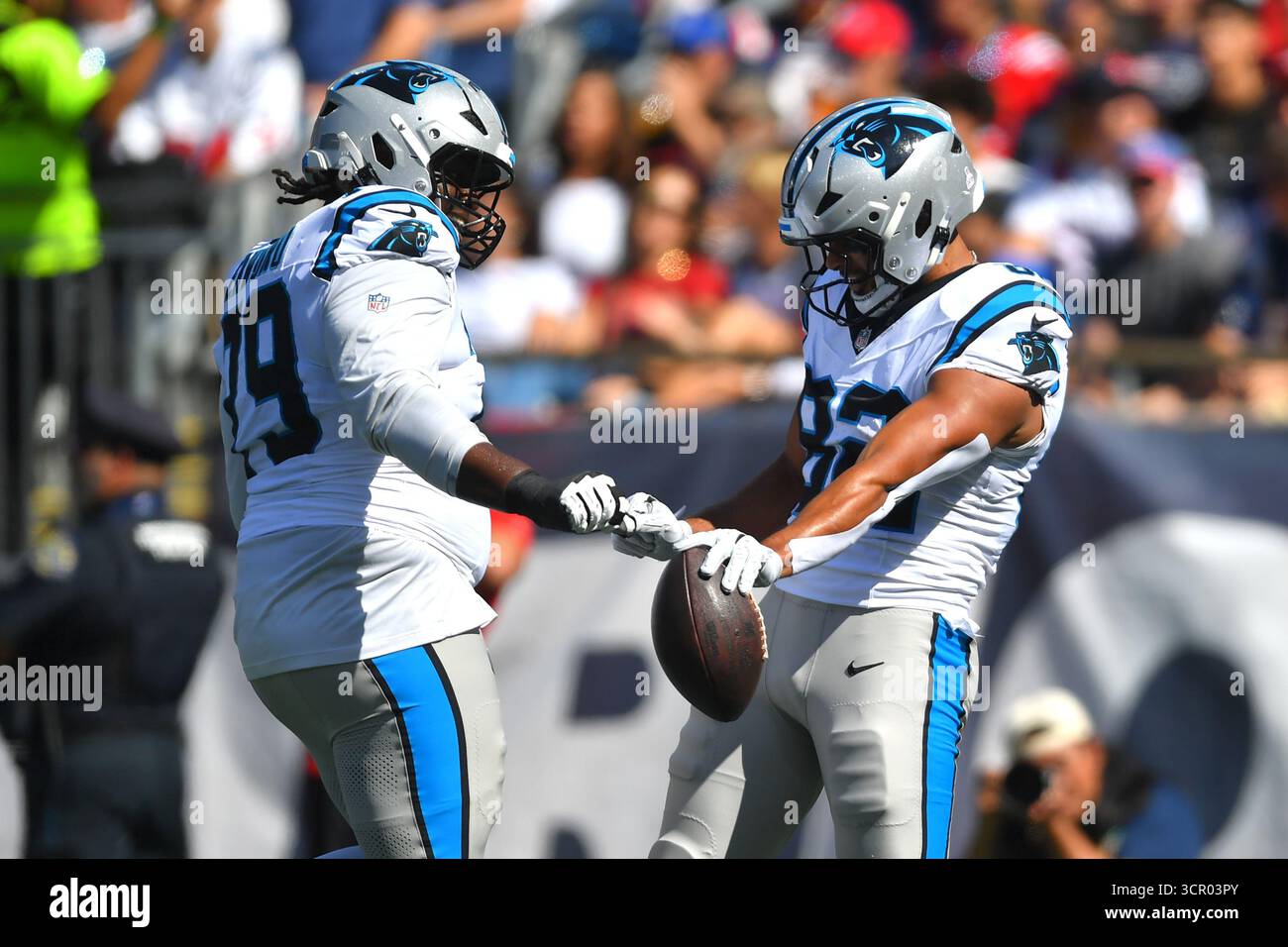 Carolina Panthers tight end Tommy Tremble (82) celebrates with ...