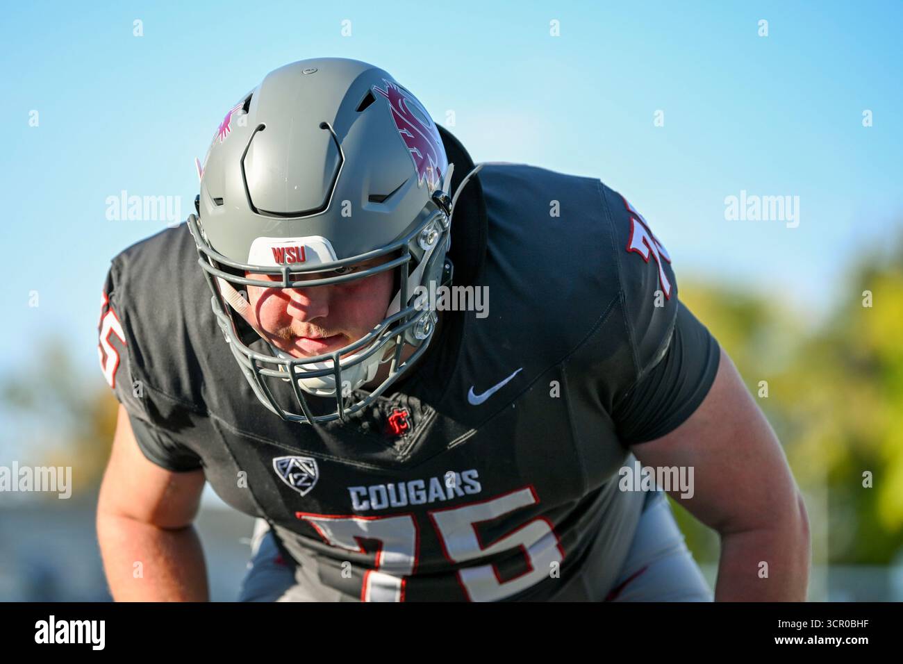 Noah dunham hi-res stock photography and images - Alamy