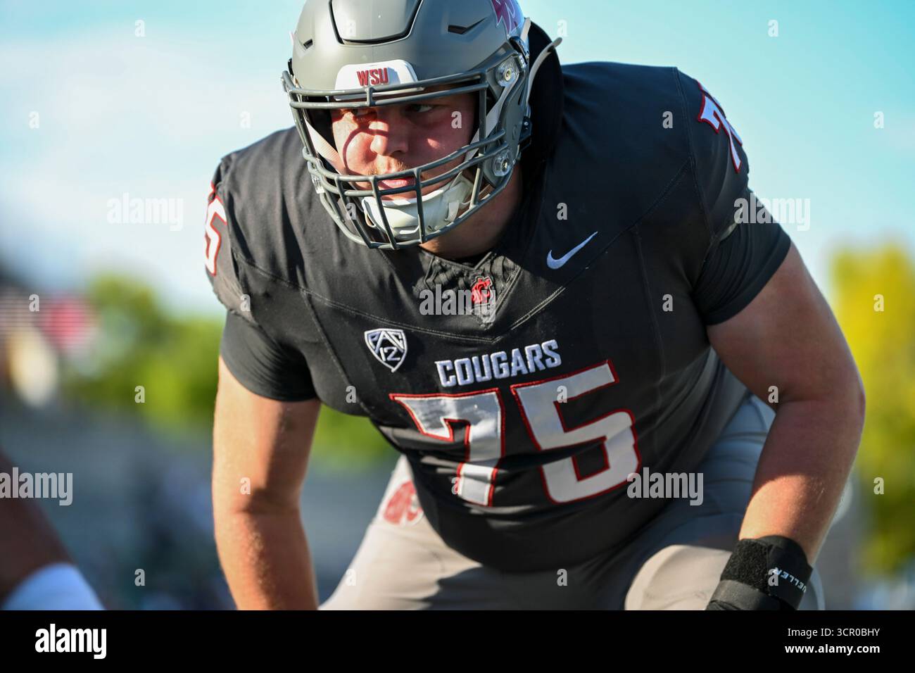 Noah dunham hi-res stock photography and images - Alamy